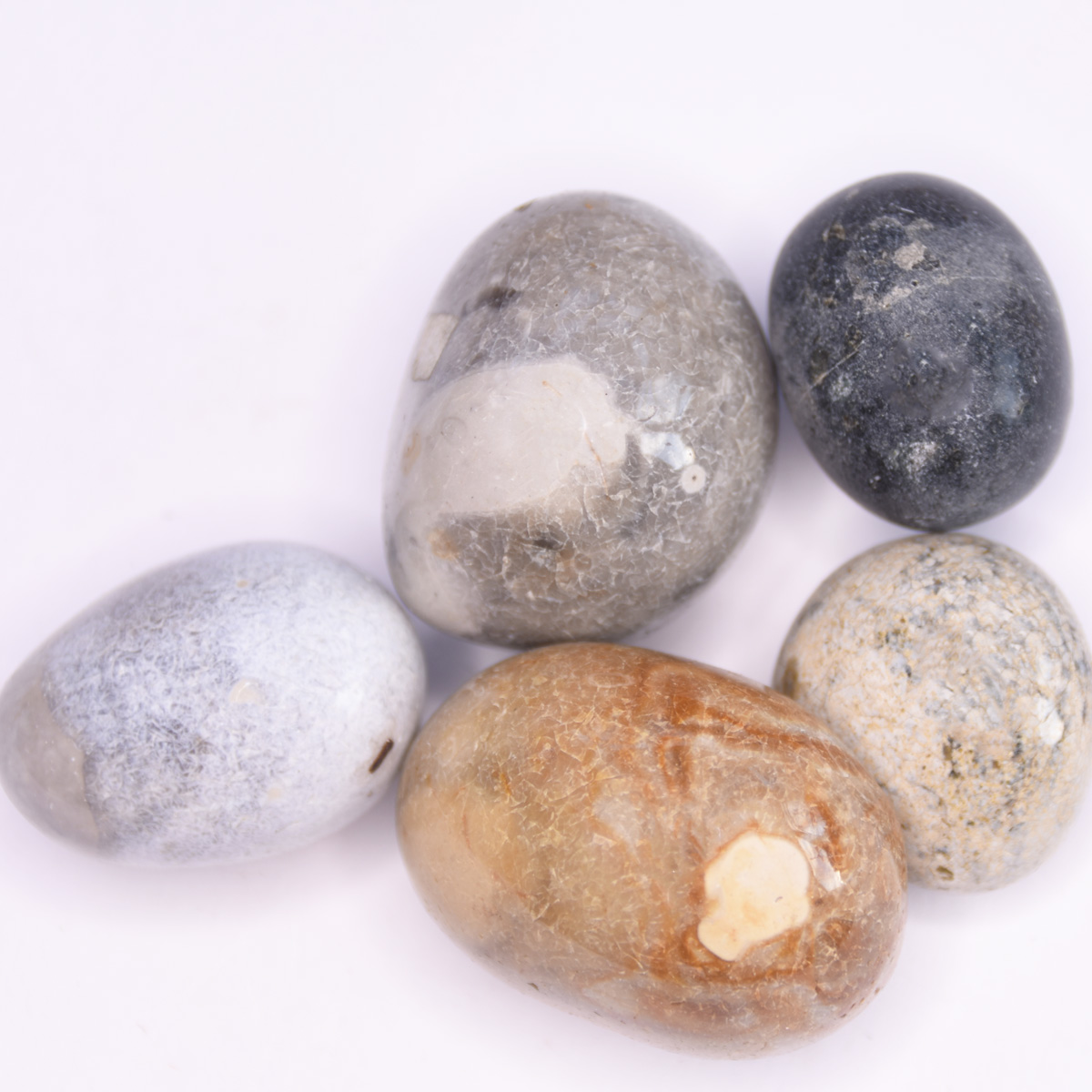 Flint - Maddogg Designs